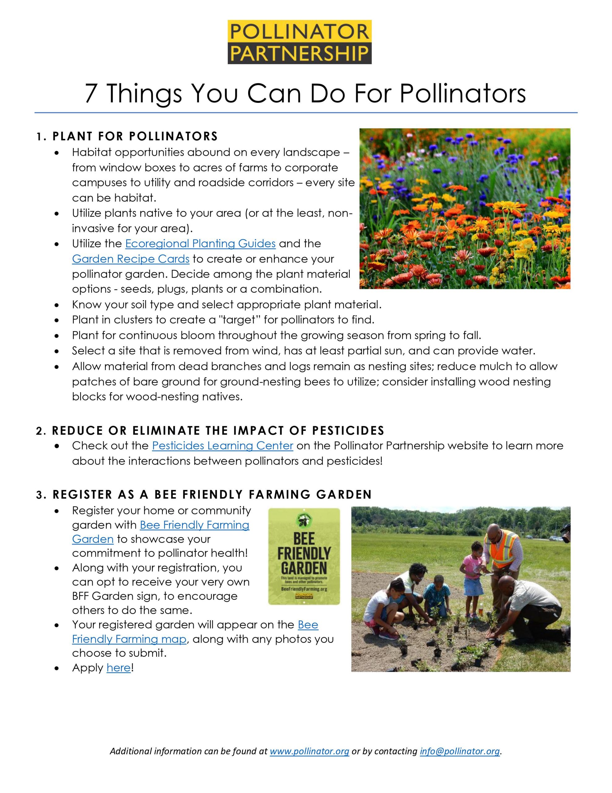 Here's how YOU can help our pollinators - Full Features Landscape ...