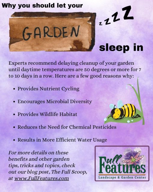 Why should you let your garden sleep in? - Full Features Landscape ...